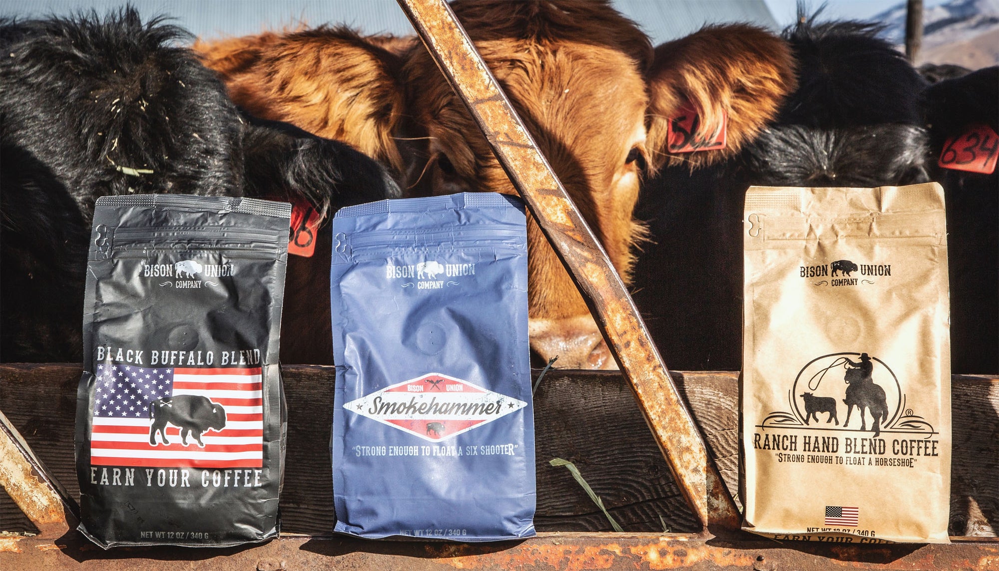 Gift Subscription – Bison Union